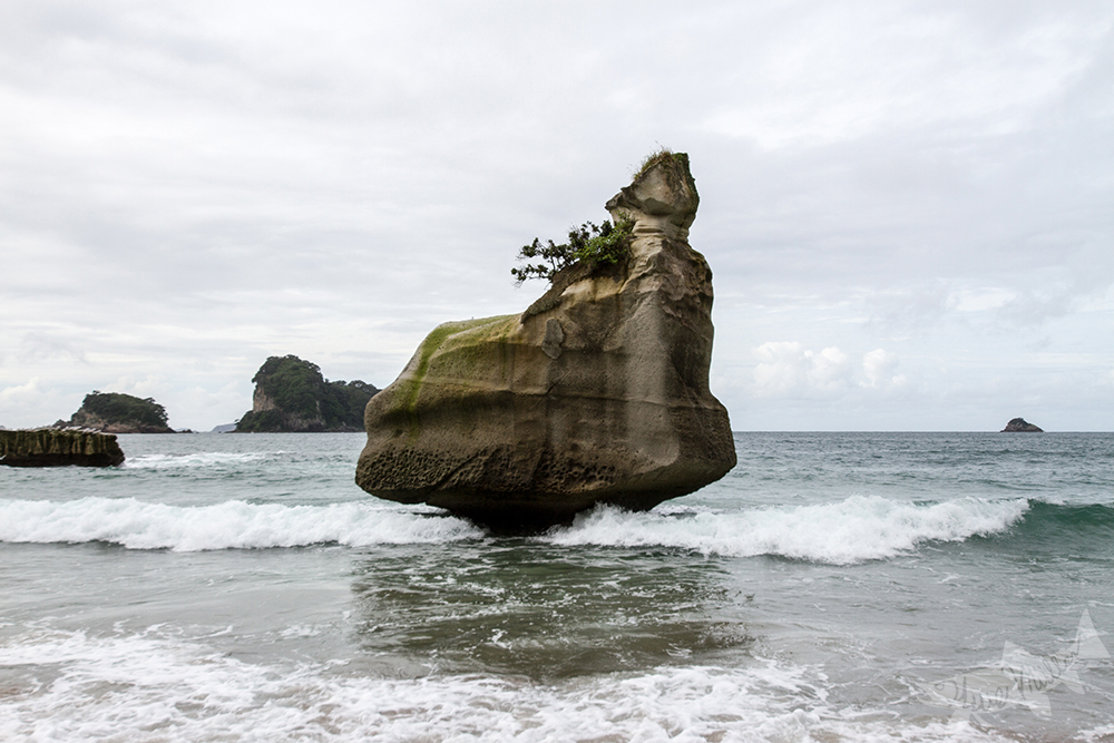 Fliegenfischer Forum - Reisebericht - Neuseeland Im Land der Maoris