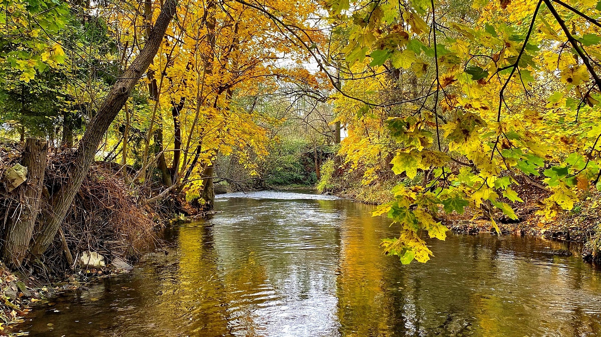 Fliegenfischer Forum - Fotoreport - Herbstzeit im Ilm und Saale Tal
